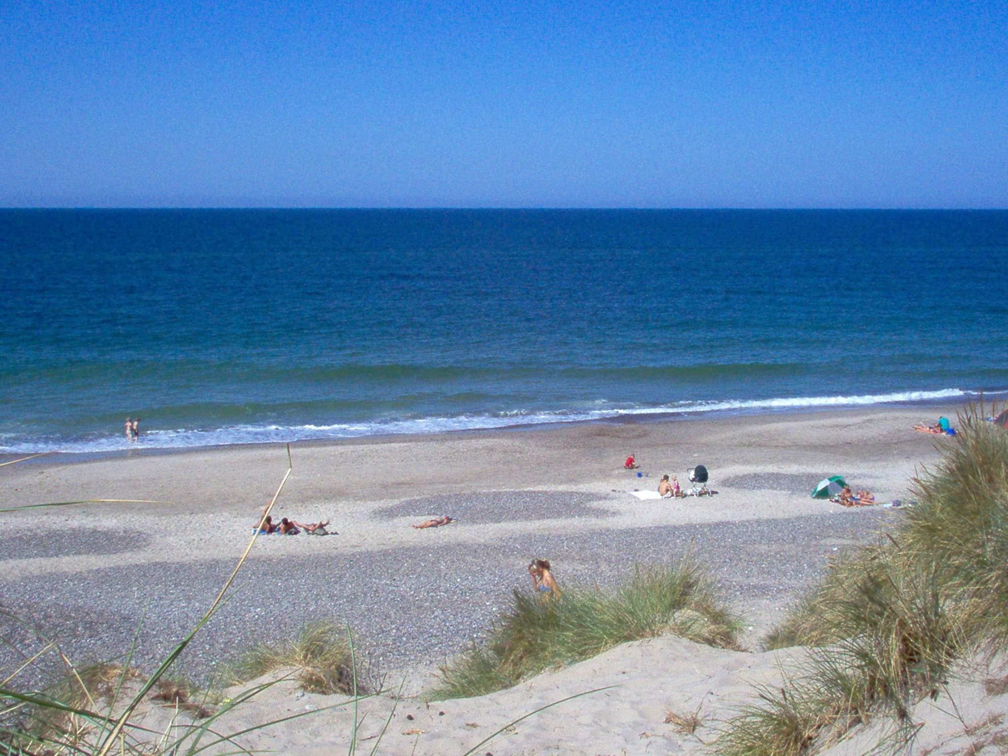 Sommerhus Søndervig - Vælg mellem 1.833 sommerhuse - Feline Holidays